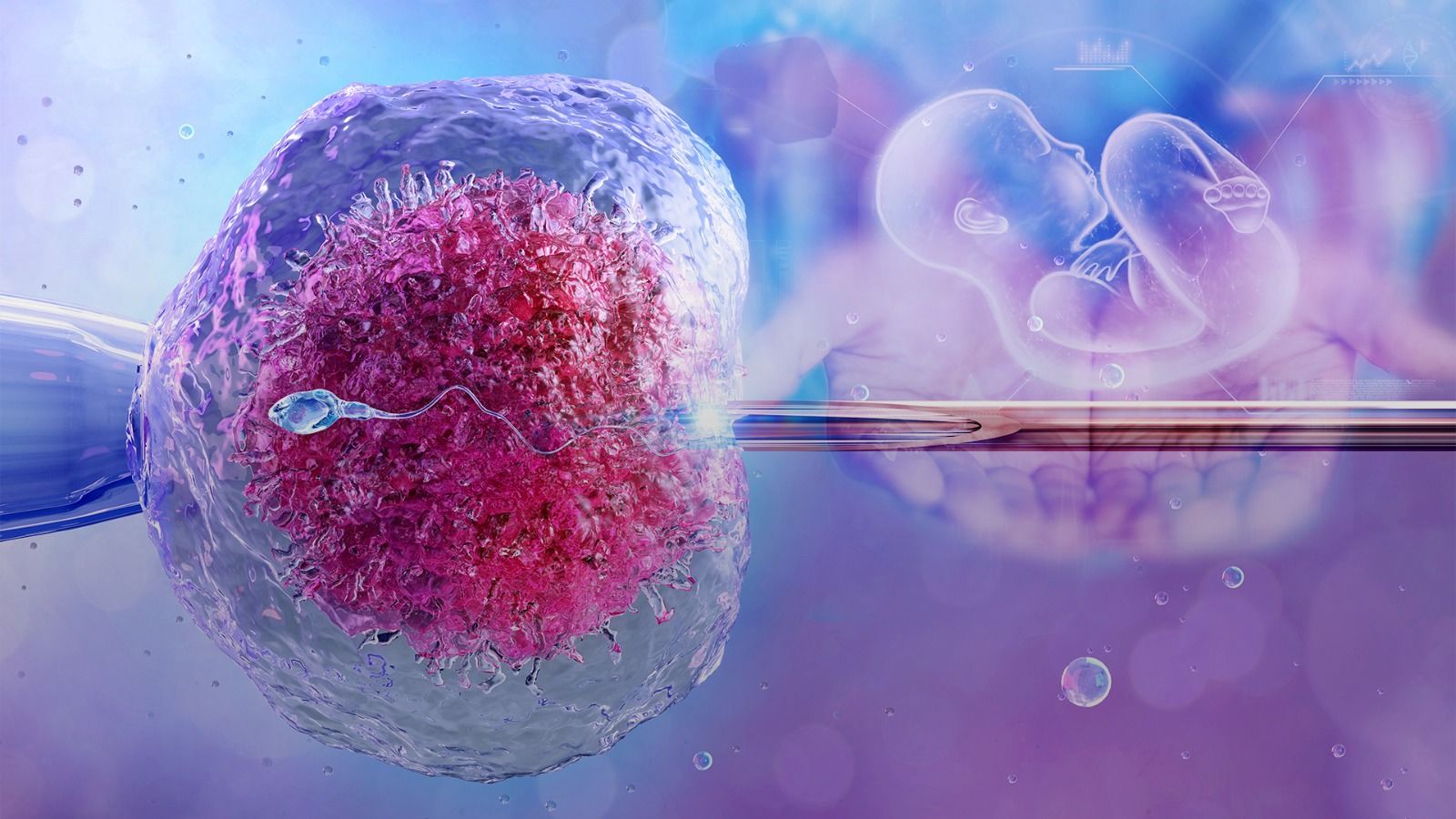 ¿Qué es la Fertilización In Vitro? ¡aquí te lo explicamos!