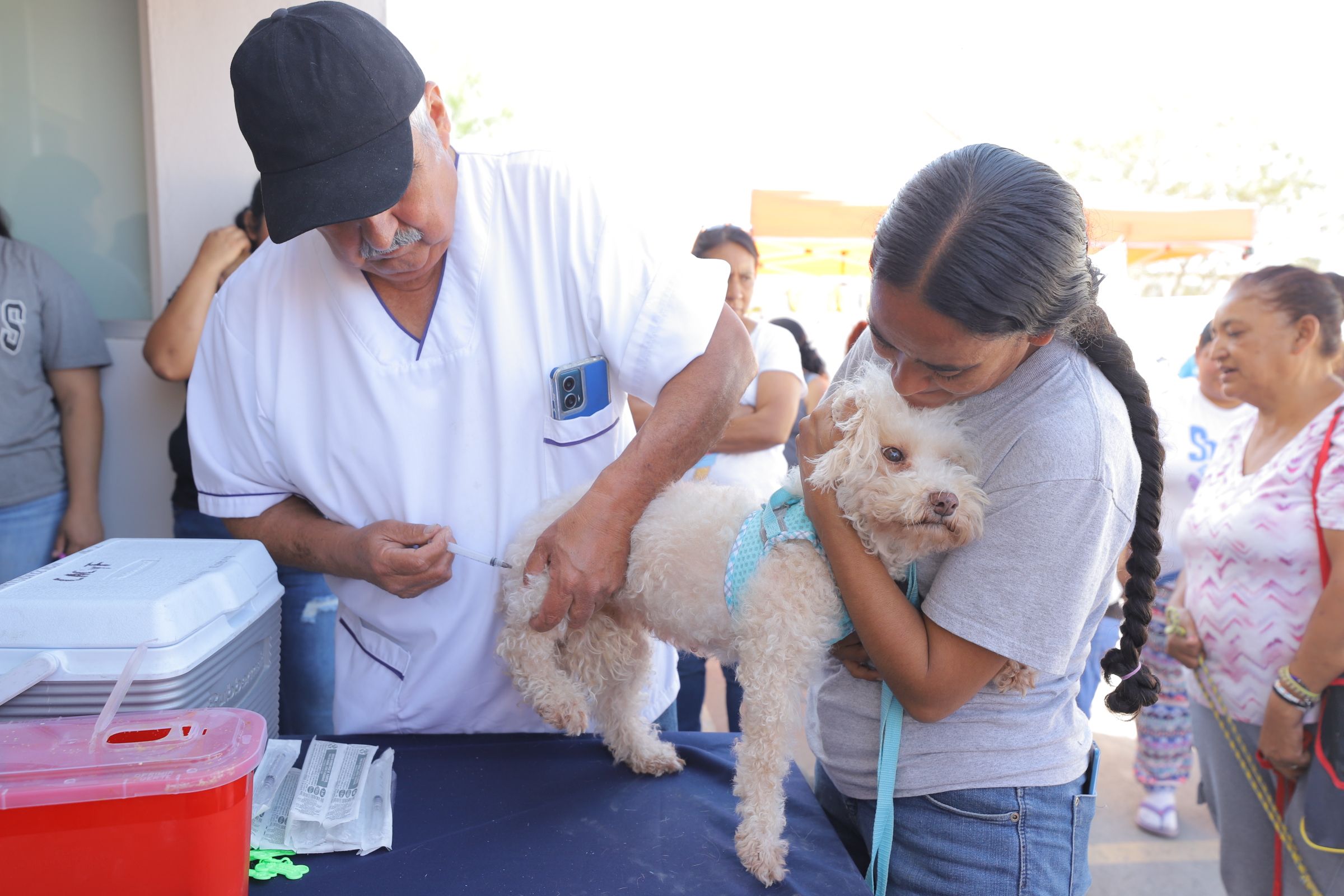 Arrancan jornada contra dengue y vacunación animal en Nuevo León