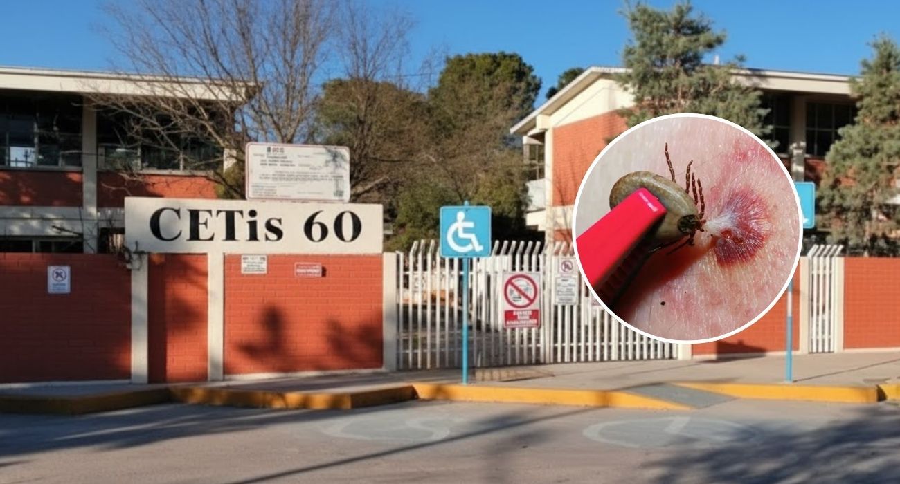 CETIS 60 refuerza acciones preventivas por rickettsia ante deceso