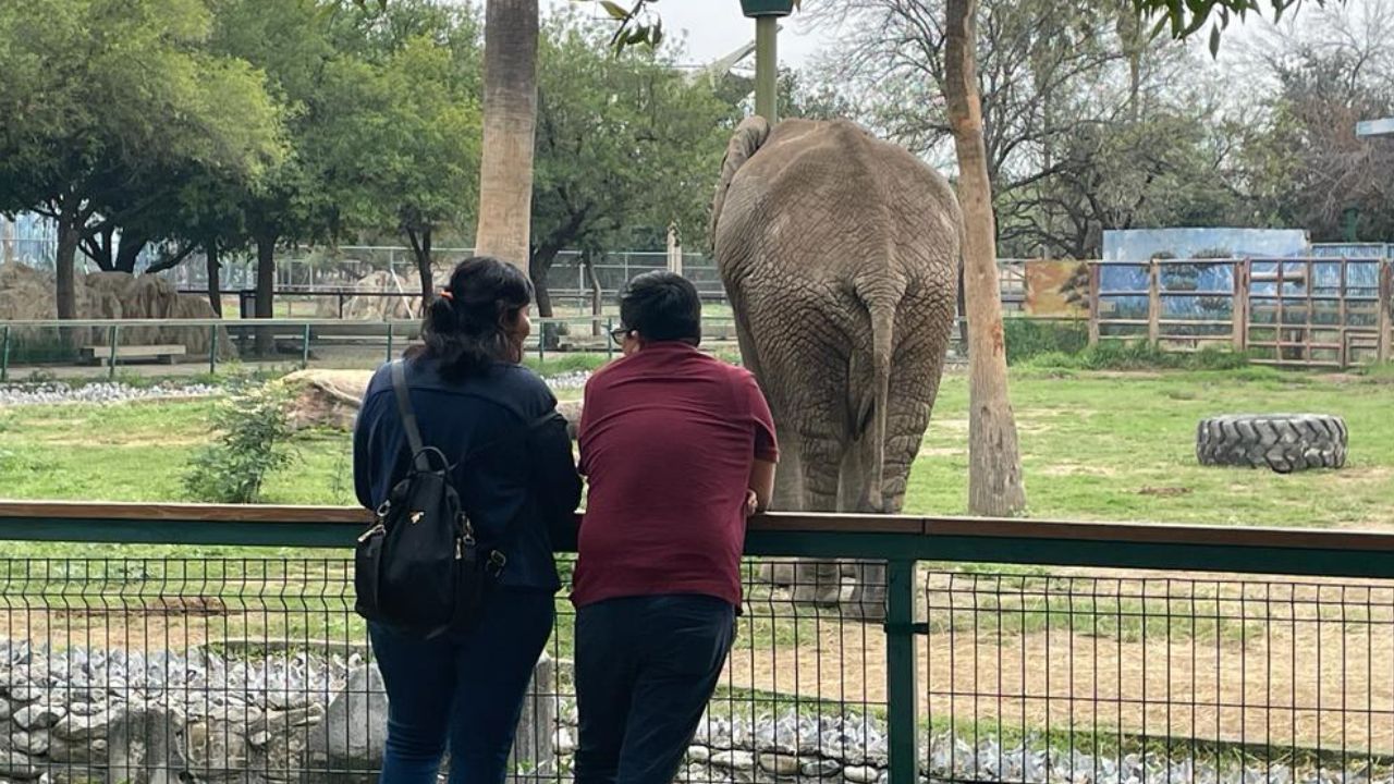 Familias turistas en NL se dieron visita en el parque La Pastora