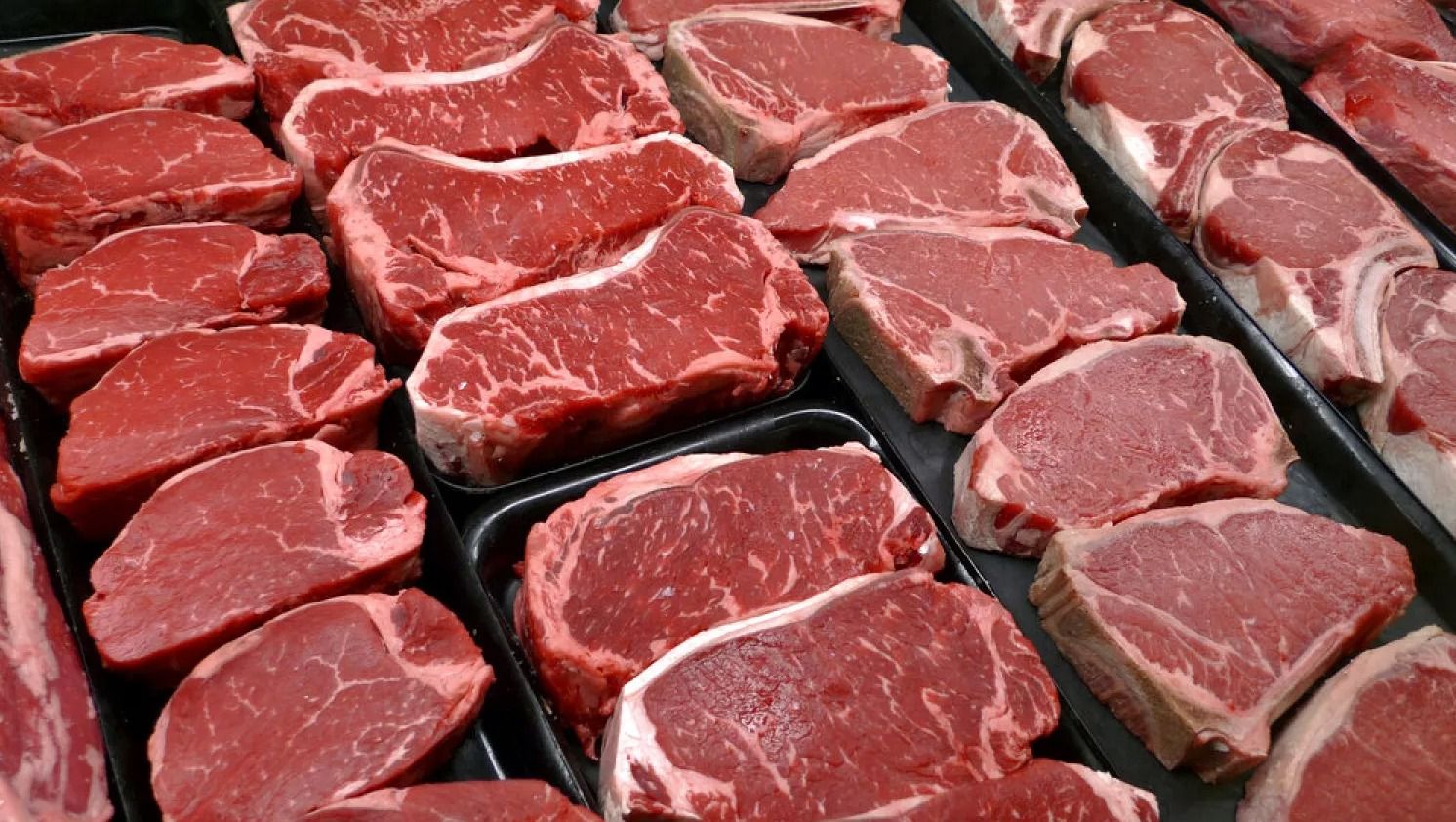Garantizan abasto de carne de bovino en México