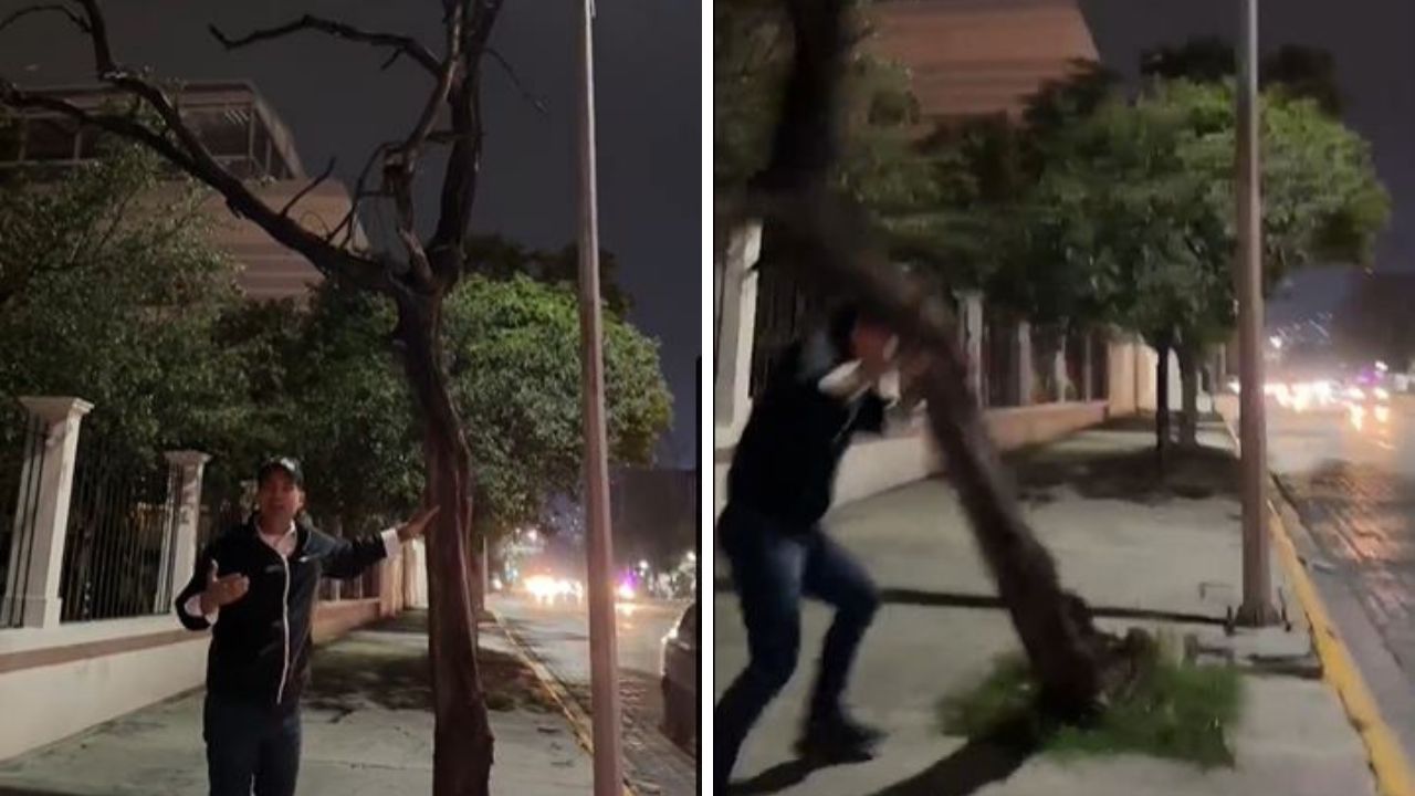 Patricio Zambrano escapa de árbol que casi lo aplasta