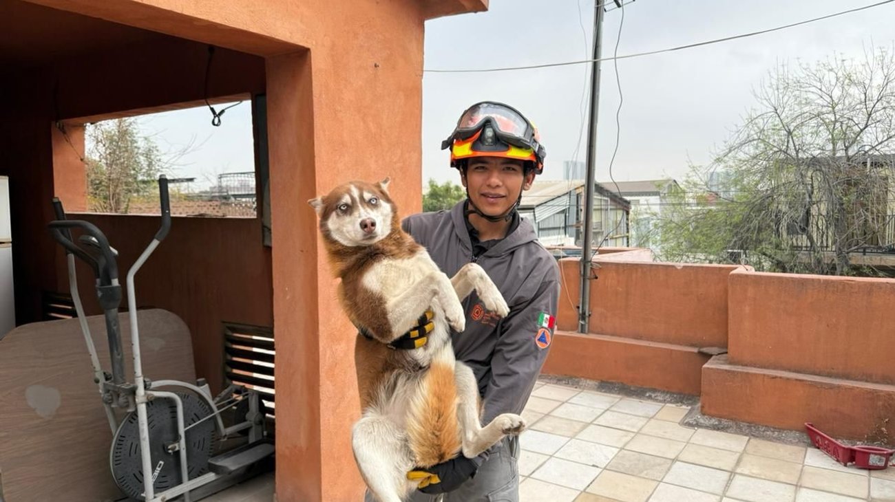 Rescatan a perro atrapado en azotea del Centro de Monterrey
