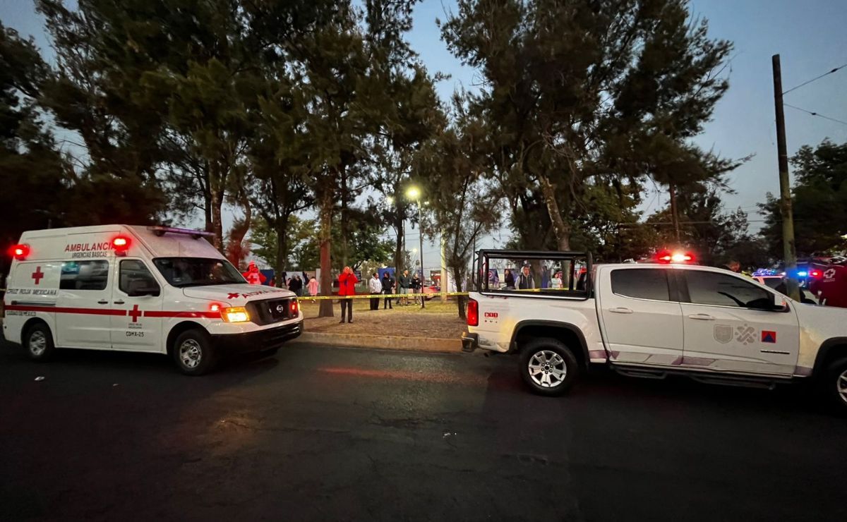 Incendio en CDMX deja tres perros muertos y una mujer intoxicada