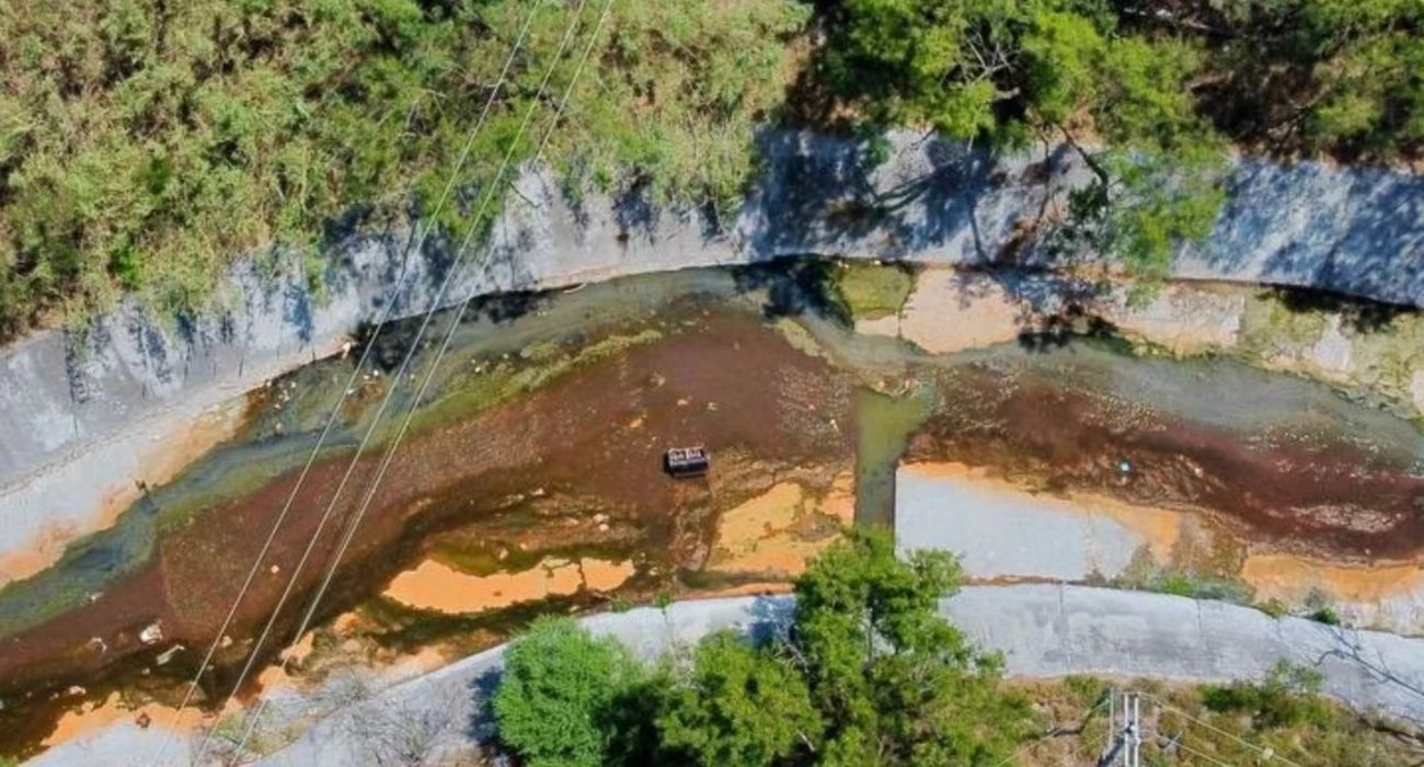 Derrame de Ternium mata la fauna y oxida la flora del arroyo