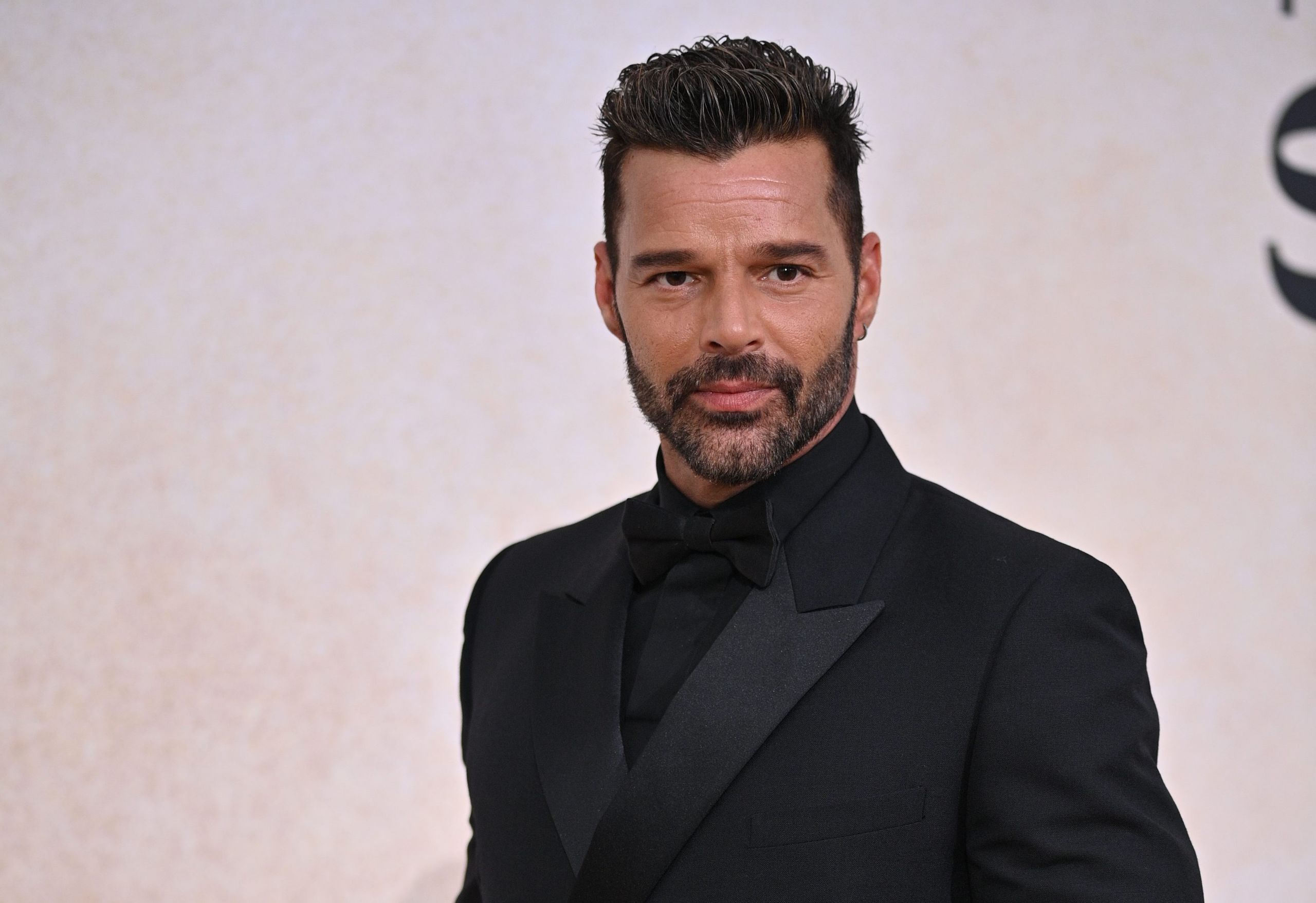Ricky Martin insta a votar en las elecciones de Puerto Rico