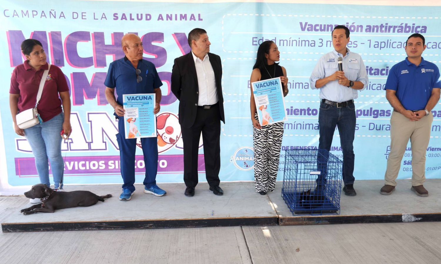 Vacunarán A Más De 4 000 Gatos Y Perros En San Nicolás