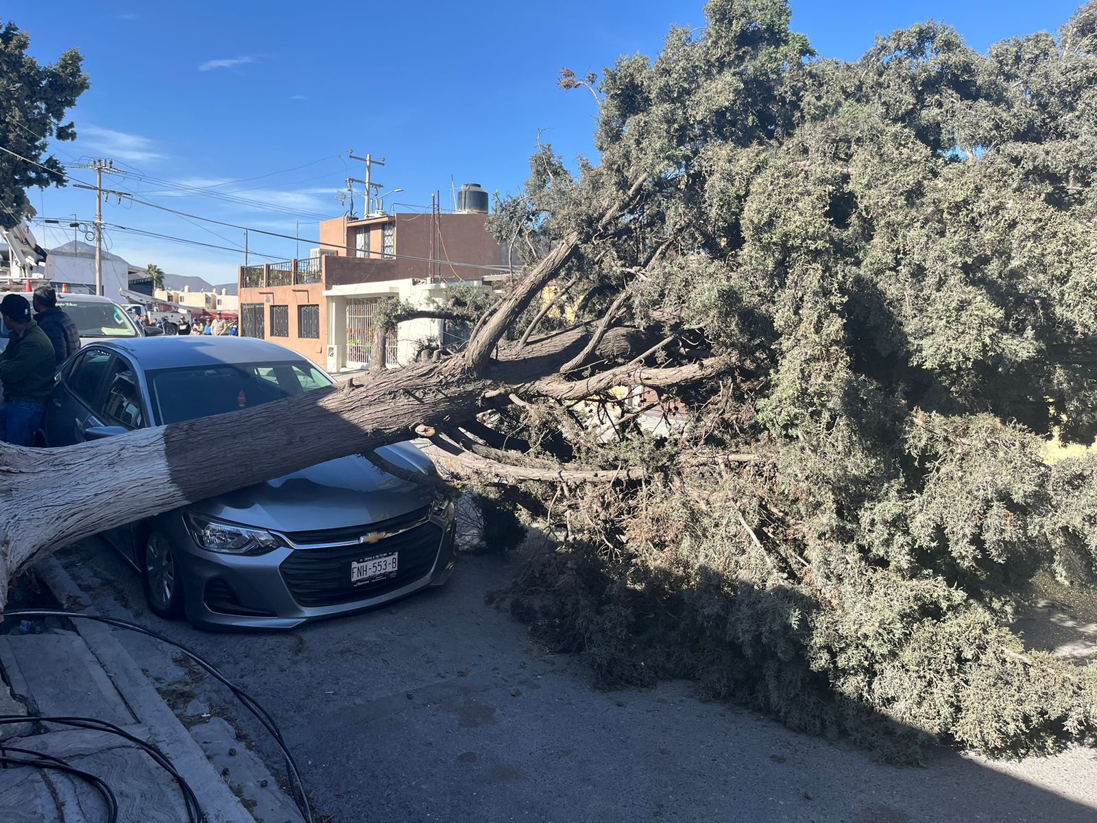 Tormenta invernal en Coahuila impactó con fuertes vientos